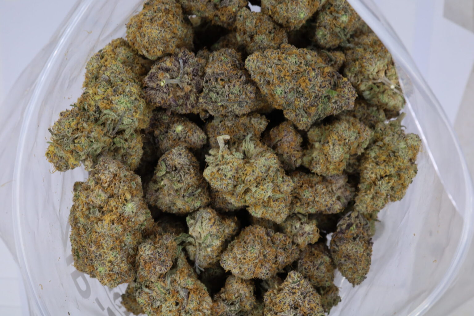 Orange Gatorade - ($.$.$.$) - Naked Canada