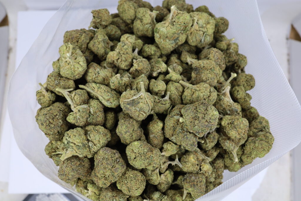 Purple Rainbow (Greenhouse) - ($.$) - Naked Canada