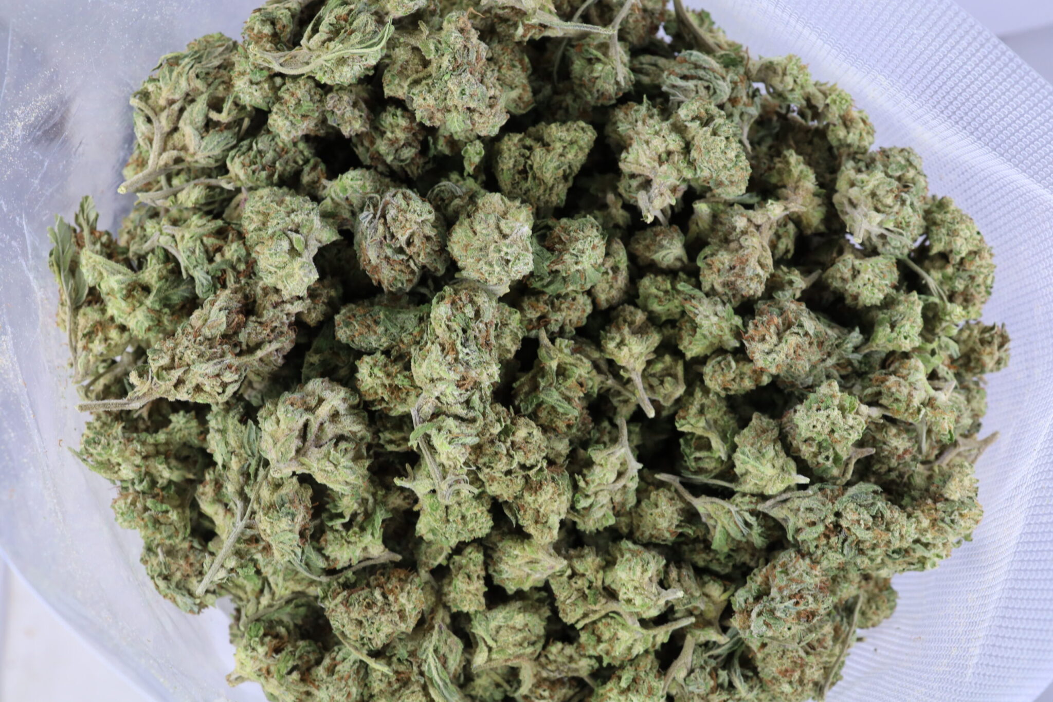 Fruit Punch - ($.$) - Naked Canada